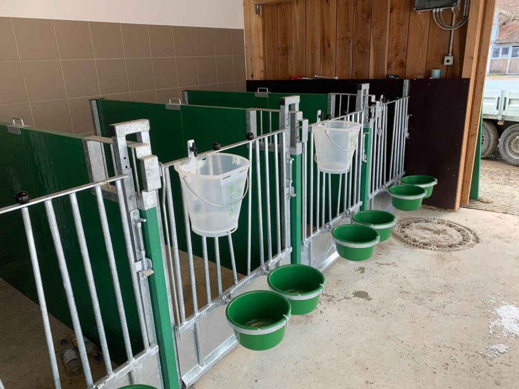 Calf pens | Calf pens that offer you flexibility | Topcalf