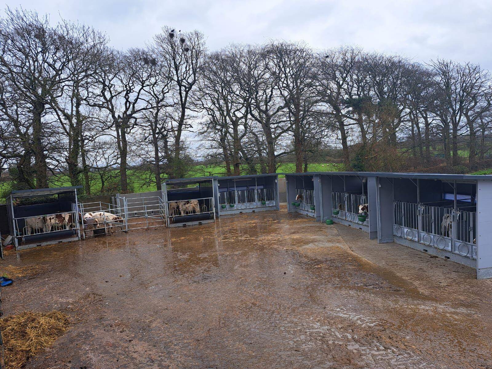 Four Trio EasyClean XXL deliverd in the UK | Topcalf