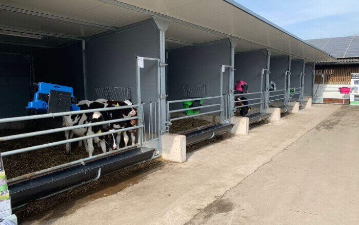 Topcalf | Specialist in Calf Housing | Optimal living environment
