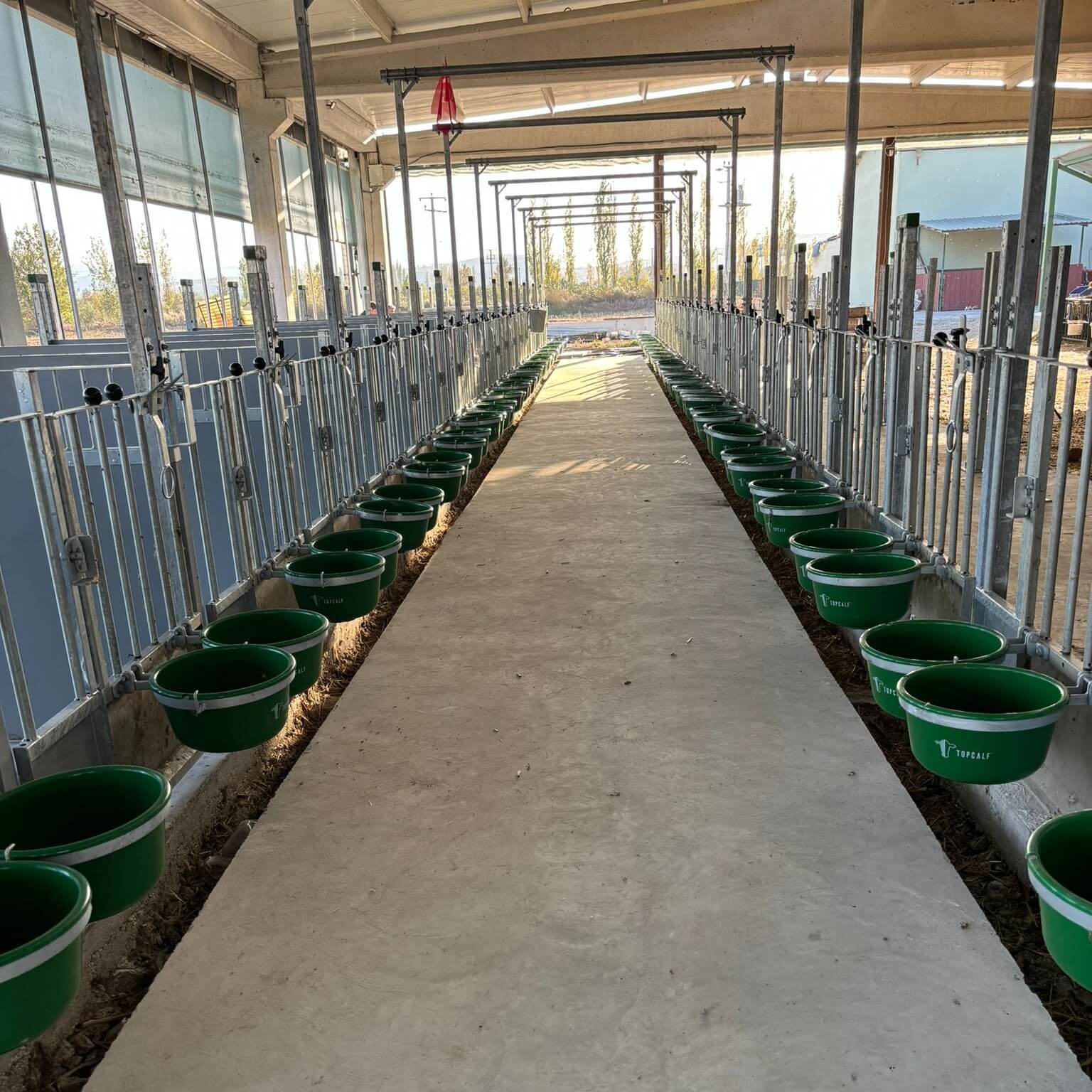 Project in Turkey: Installation of 40 Topcalf Calf Pens | Topcalf