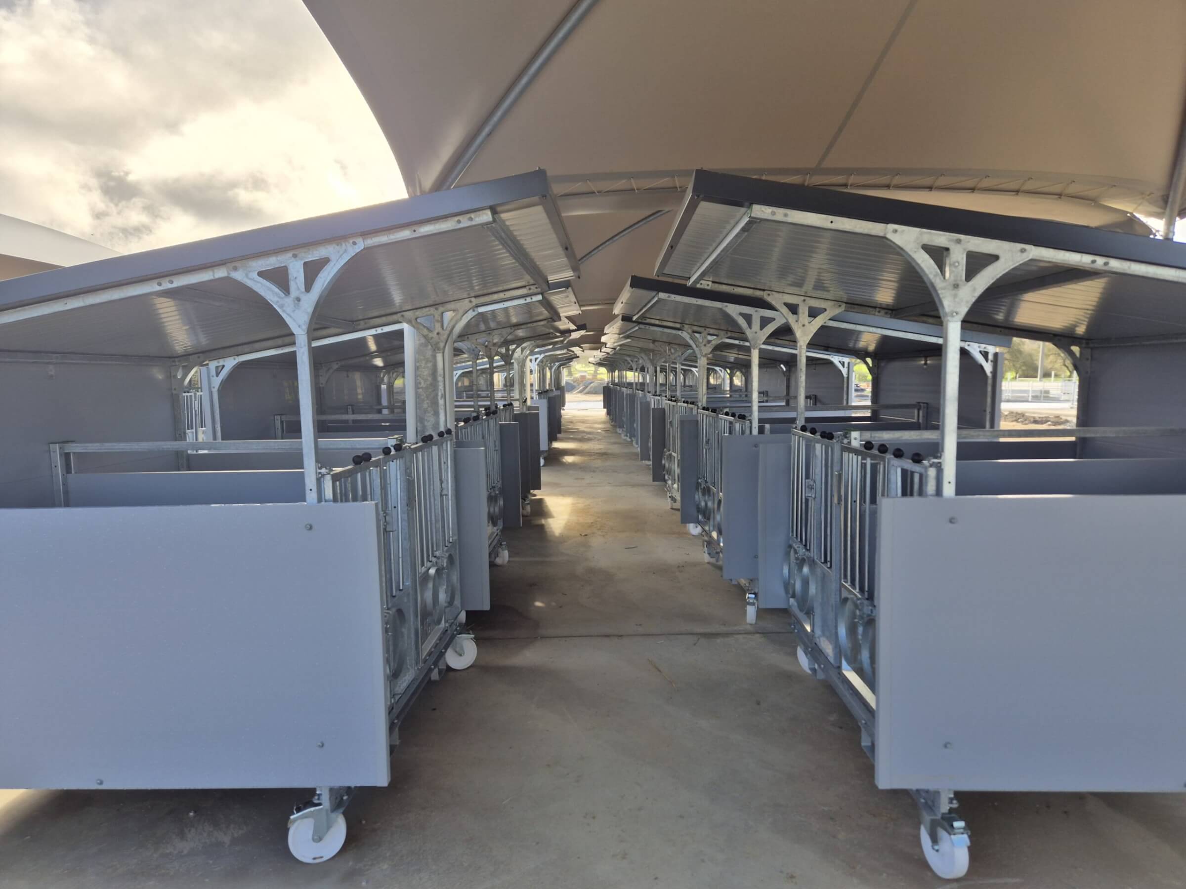 Topcalf in Portugal: Assembly of 50 Duo-Flex XL Calf Pen! | Topcalf