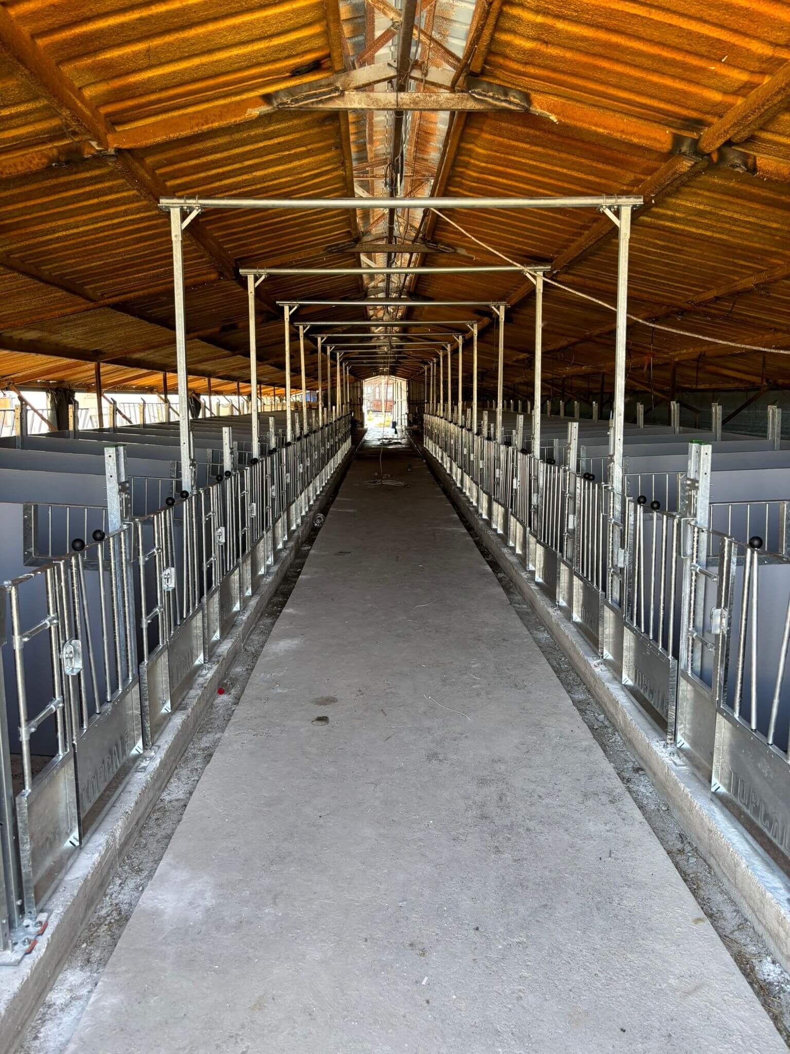 40 Topcalf Calf Pens in Turkey | Topcalf